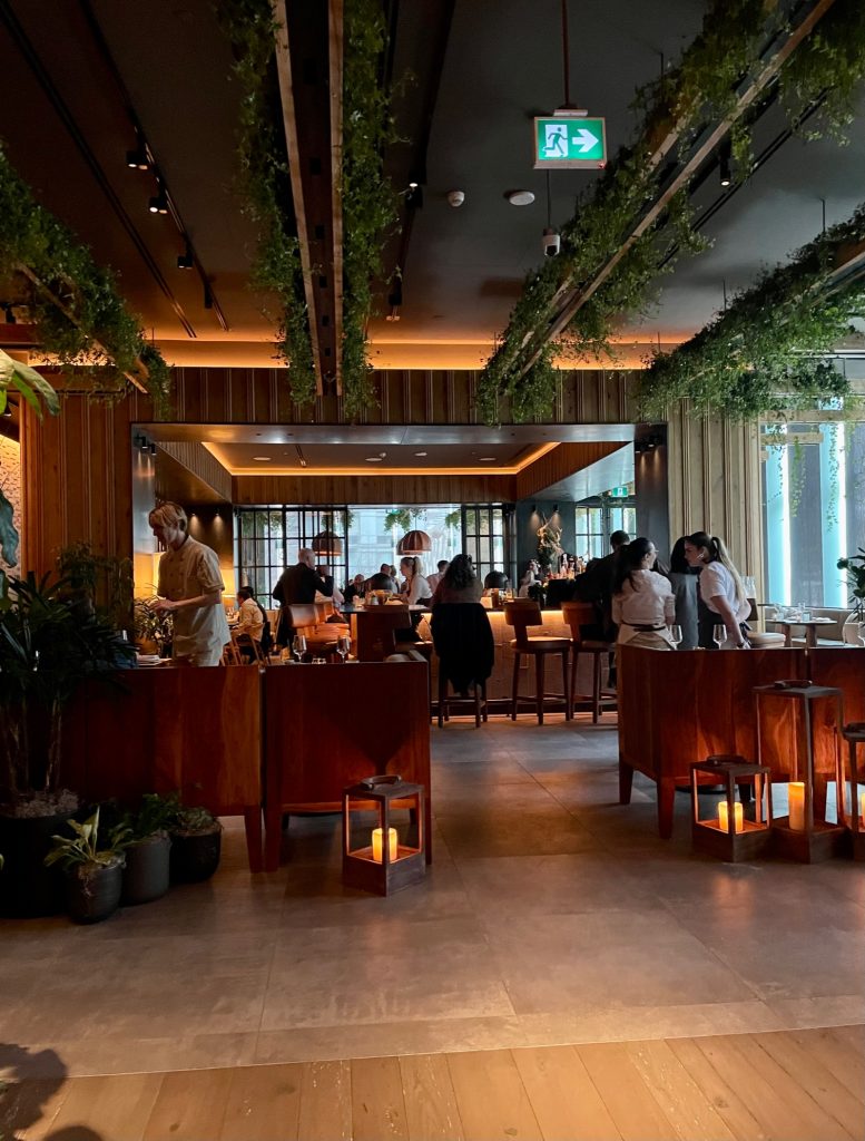 Casa Madera: An unforgettable sensory experience with bold, inventive ...